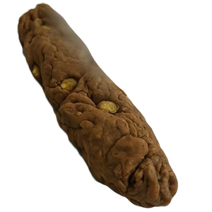 $POOP Token